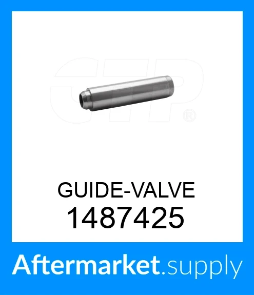 1487425 - GUIDE-VALVE (1033298, 2P1262, 1167553, 1090390) fits ...